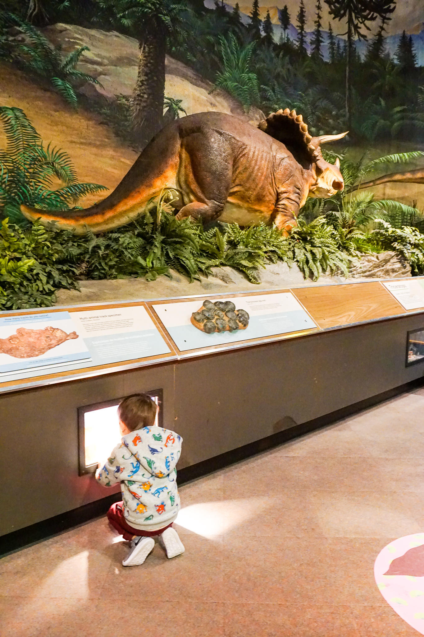 Things to do in Seattle with Kids | Messy Wonderful