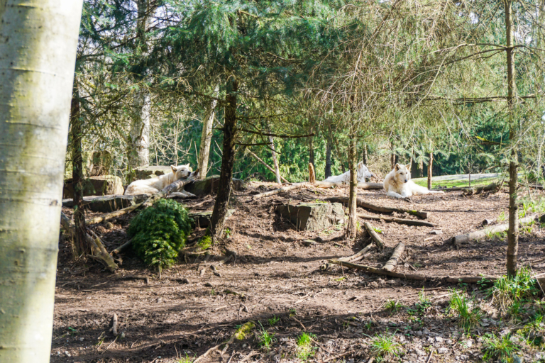 Things to do in Seattle with Kids | Messy Wonderful